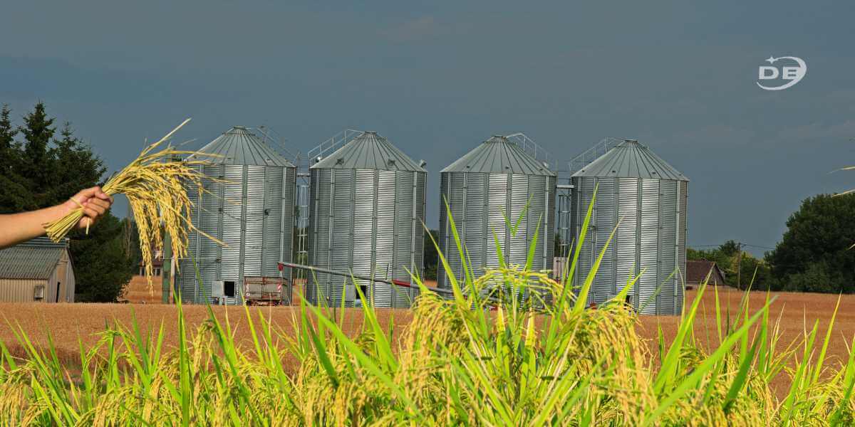 Paddy Silo Feature: