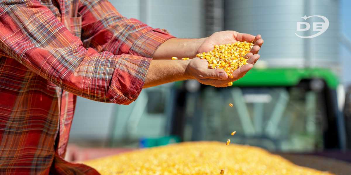 Corn/Maize Silo Feature: