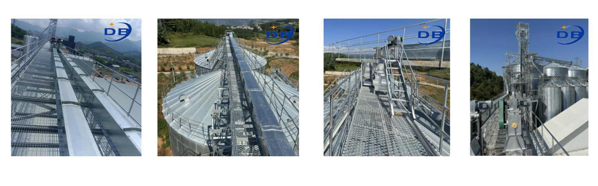 Scraper Chain Conveyor - dbsilos